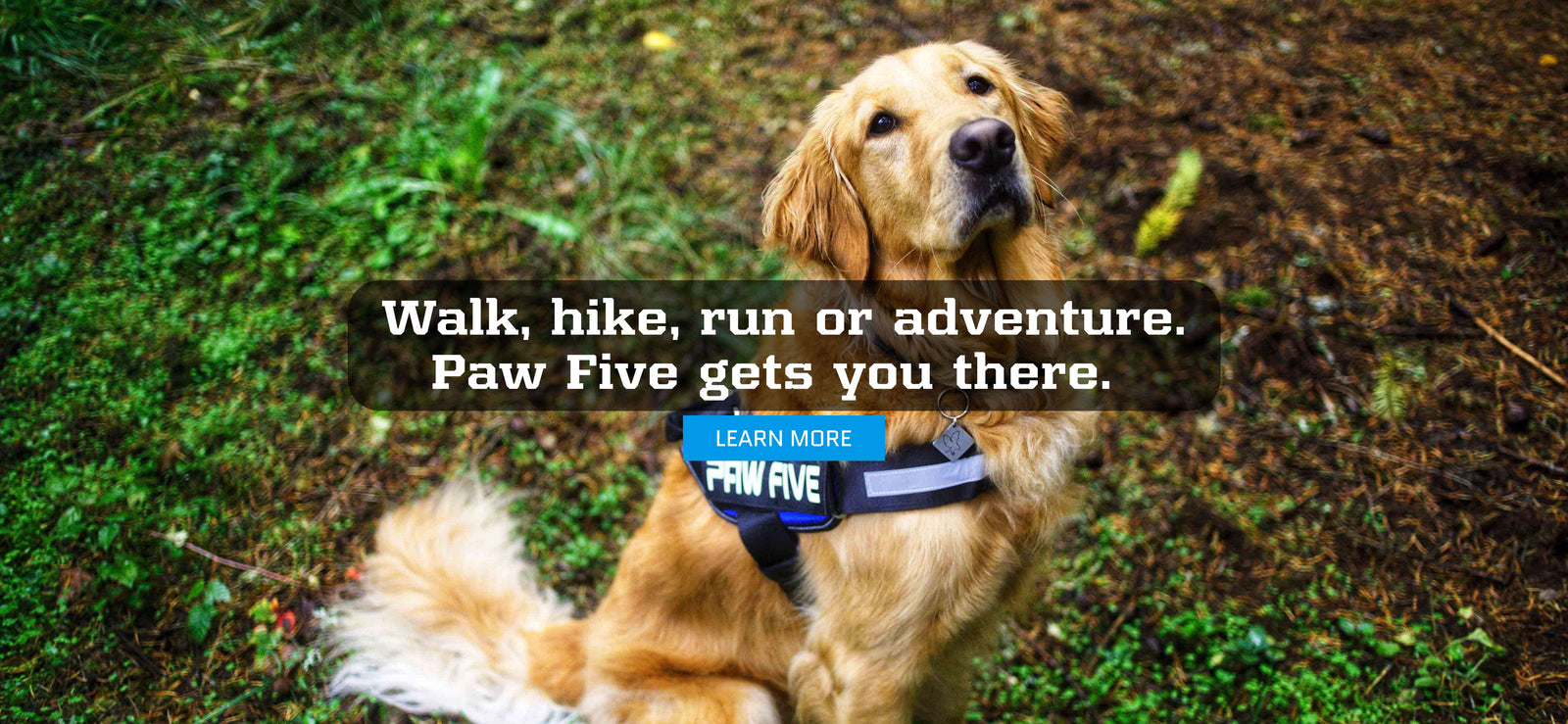 Paw Five: Building the Best Pet Supplies That Owners Trust