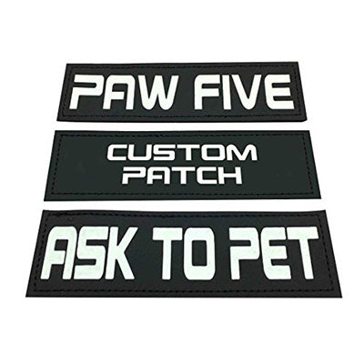 Paw Five: Building the Best Pet Supplies That Owners Trust